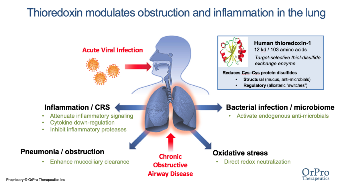 CF Treatment – OrPro Therapeutics, Inc.